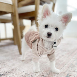 Fetch® Smart Pet Tags – Lifekey Pets