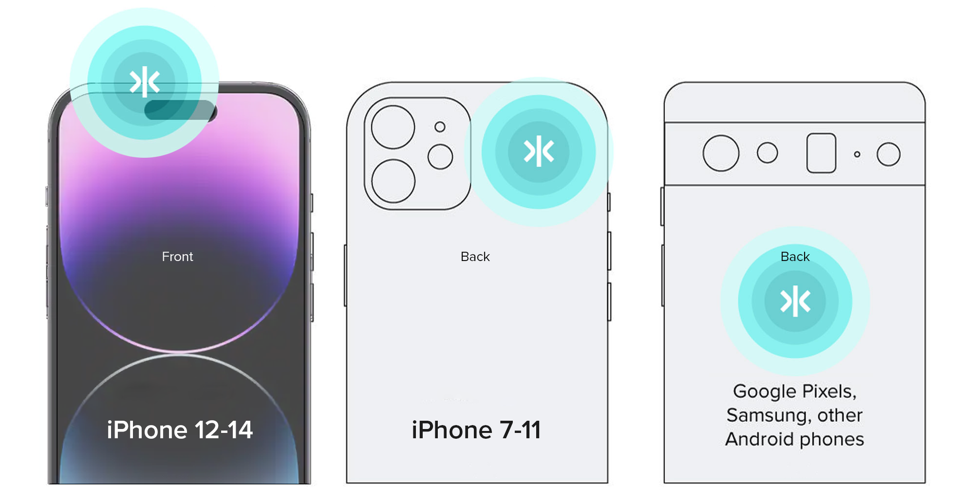 How Fetch Works – Lifekey Pets