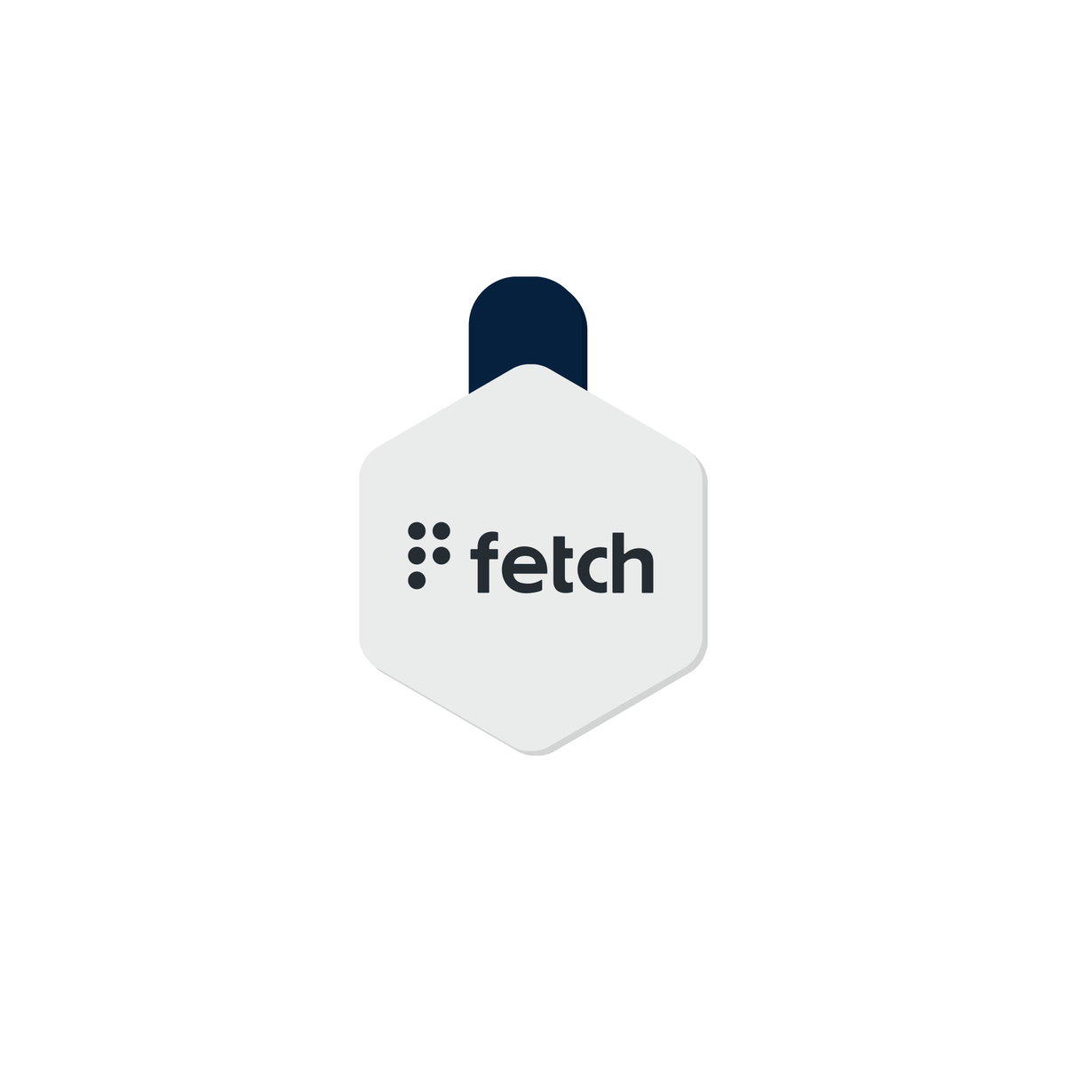 Concrete Jungle Fetch® Mini – Lifekey Pets